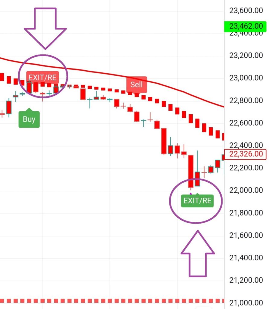 Home - PROFIT DETECTOR